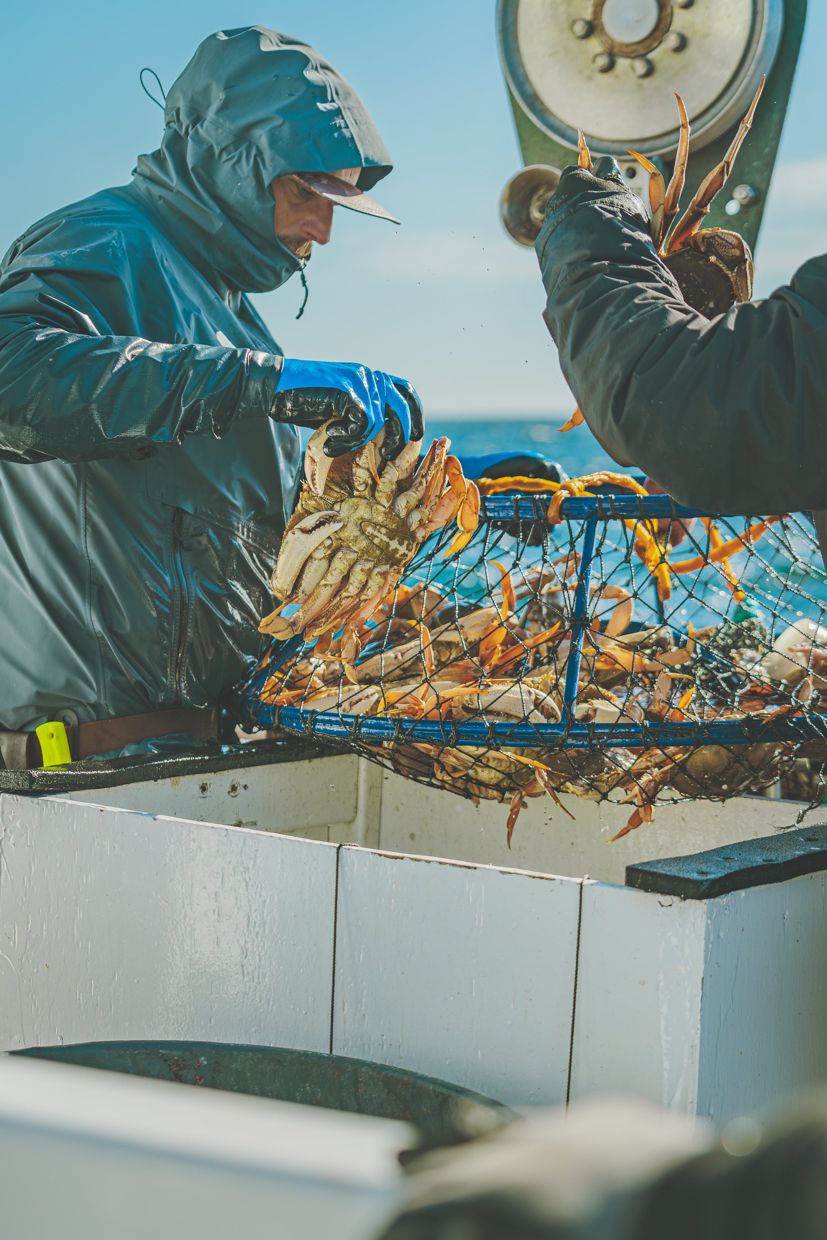 TRAPS, POTS, NETS – Promar & Ahi USA