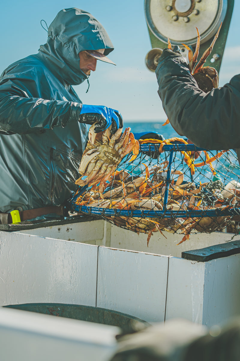 TRAPS, POTS, NETS – Promar & Ahi USA