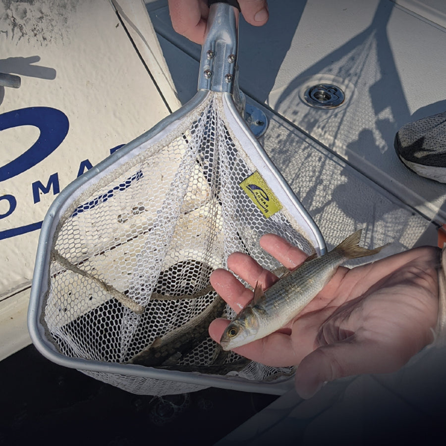 Bait Well Nets – Promar & Ahi USA