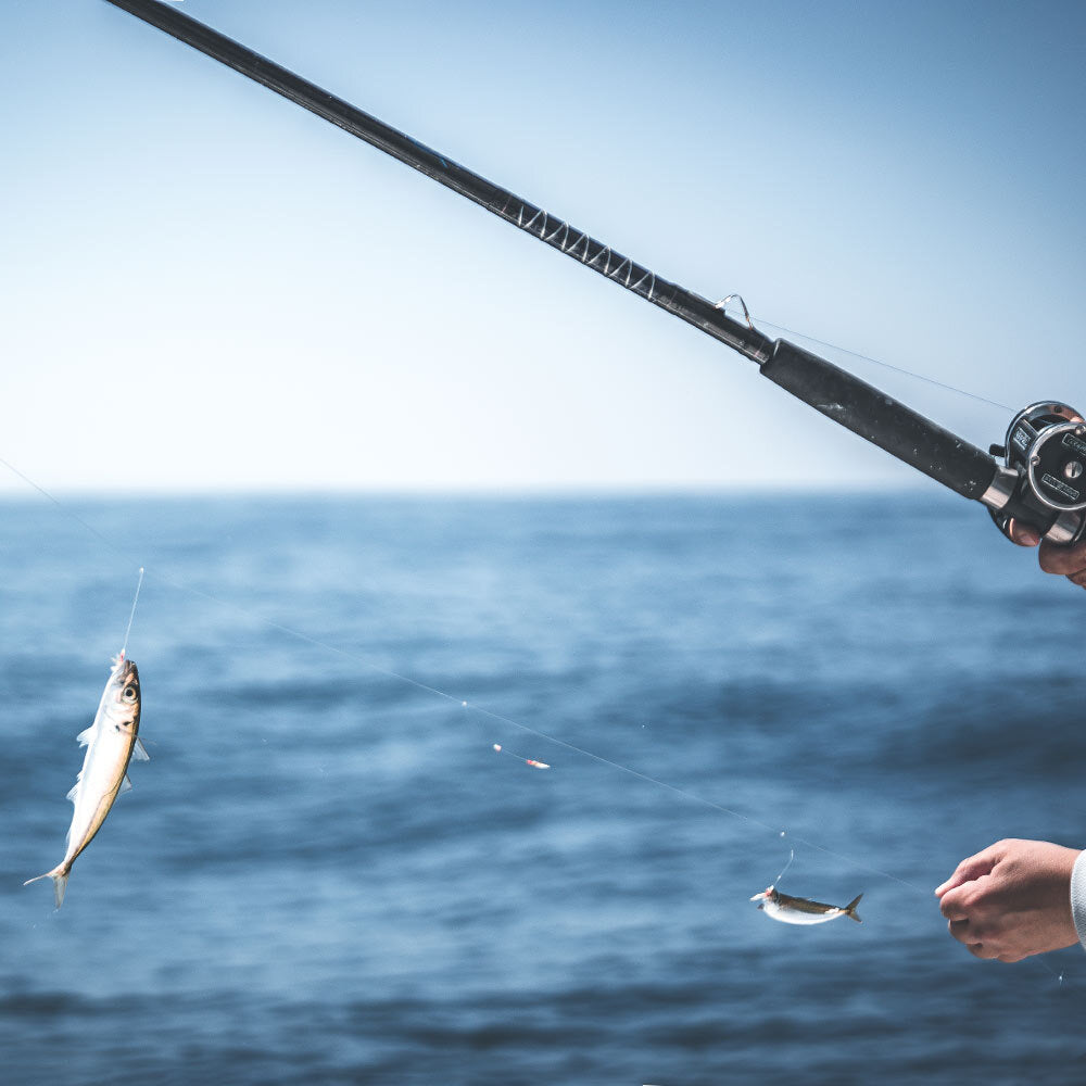 Sabiki Rigs N' Rods – Promar & Ahi USA