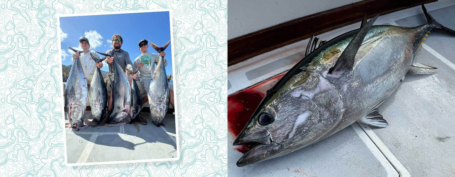 Promar & Ahi USA | Premium Fishing Nets, Traps, Gear and Accessories