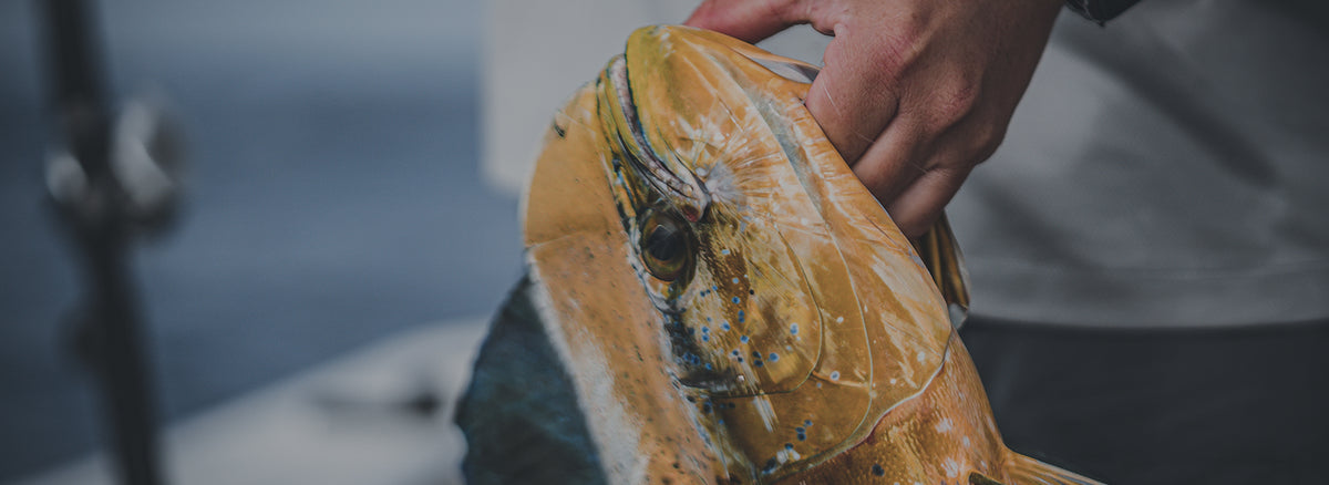 SALE - Promar & Ahi USA