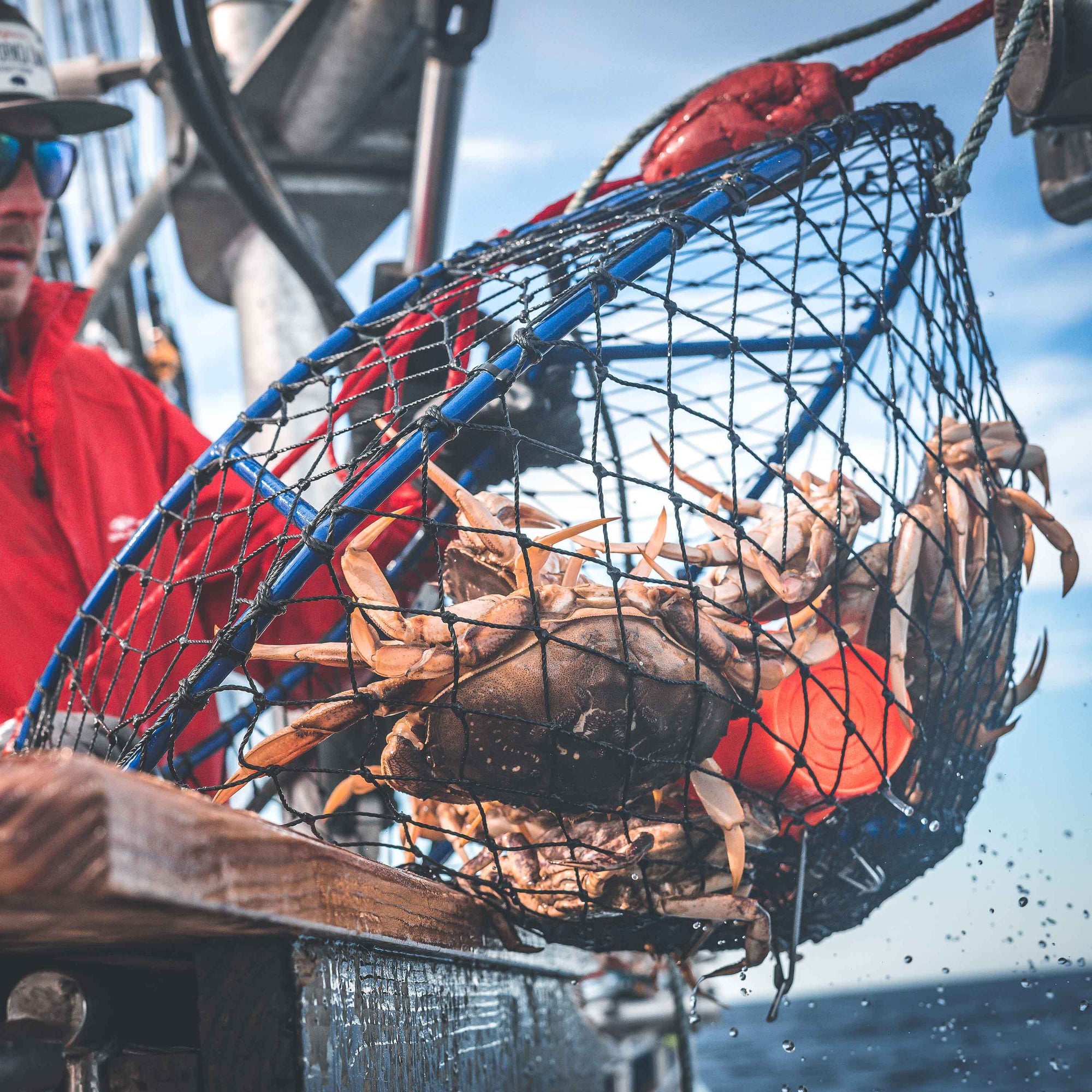 Promar Ambush Series Hoop Net Multi-Packs - Promar & Ahi USA