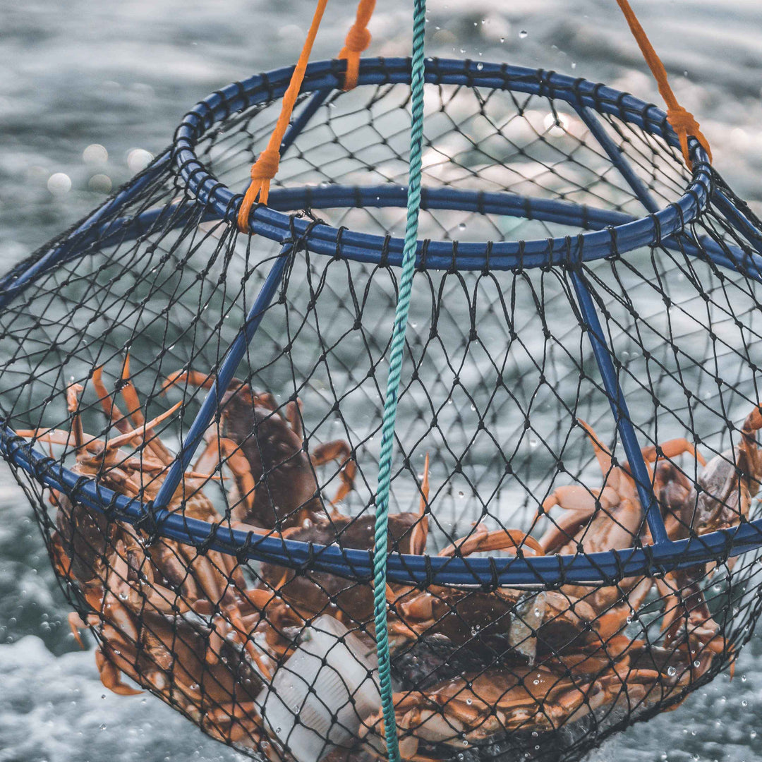 Jumbo & Deluxe Hoop Nets – Promar & Ahi USA